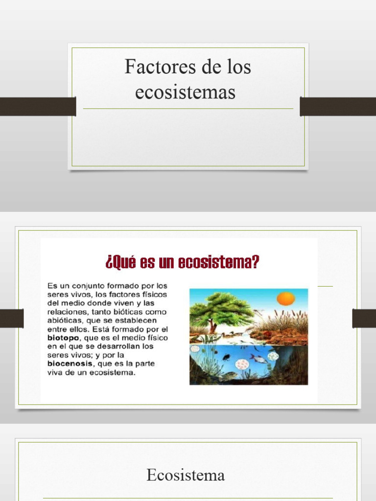 Componentes Del Ambiente | Descargar gratis PDF | Organismos | Ecosistema