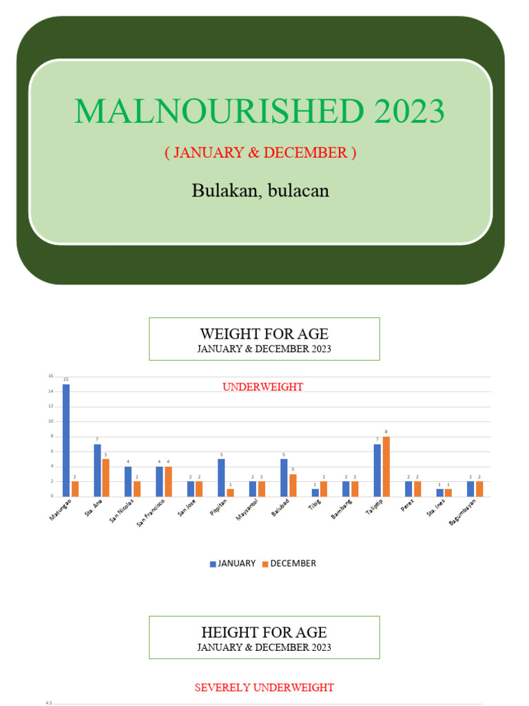BAR GRAPH Jan & Dec 2023 (Powerpoint) | PDF
