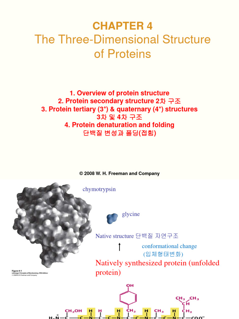한글자료 LEHNINGER PRINCIPLES OF BIOCHEMISTRY 6th Edition CHAPTER 4 | PDF ...