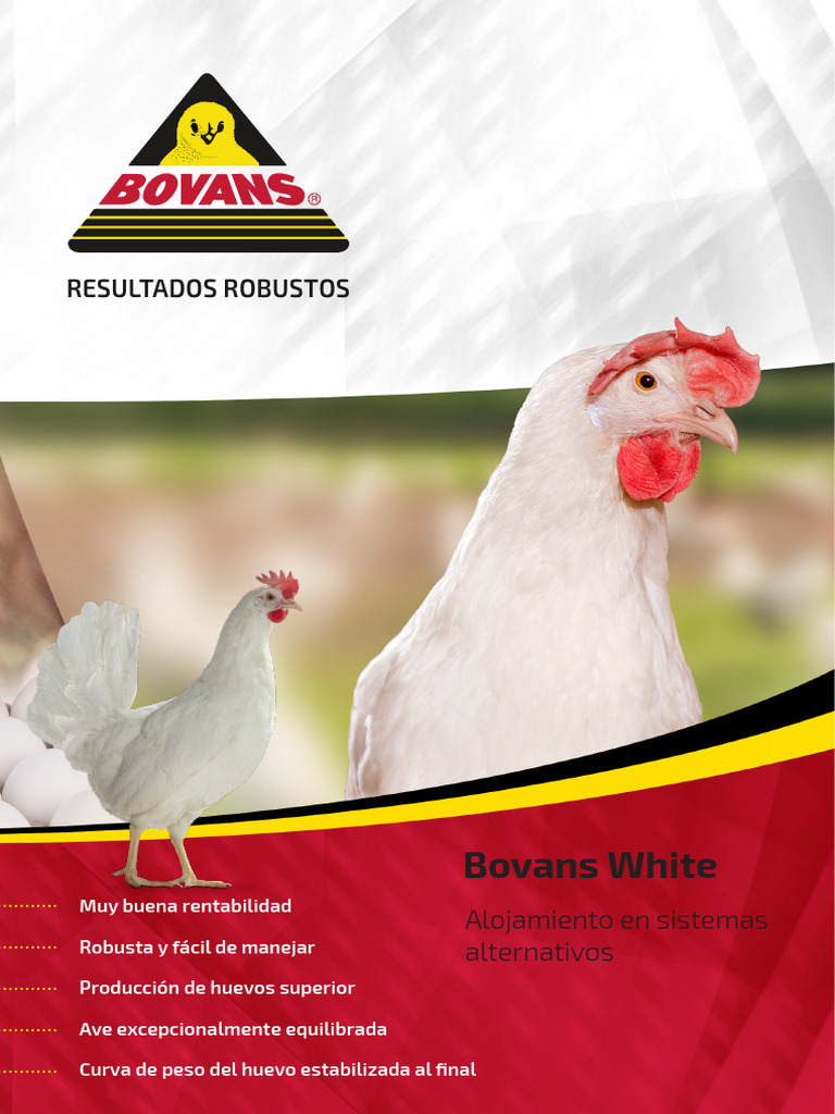 Bovans White CS Product Leaflet Alternative L1211-1-ES | PDF | Aves ...