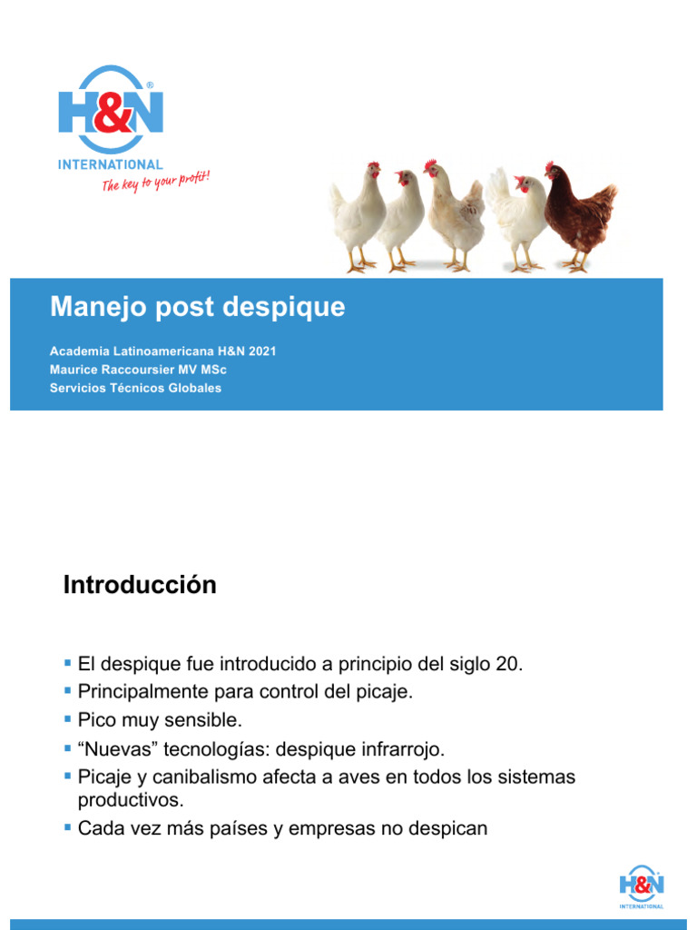 Maurice Raccoursier Manejo Post Despique | PDF | Dolor