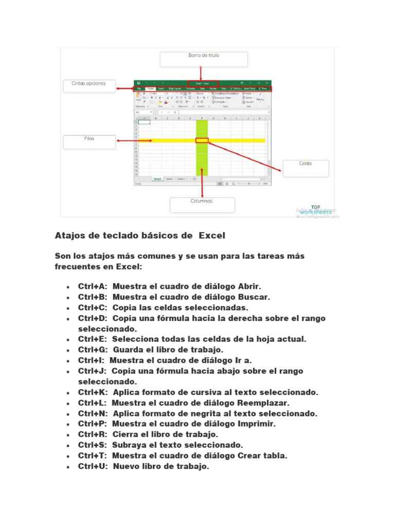 Comou | PDF | Microsoft Excel | Hoja de cálculo