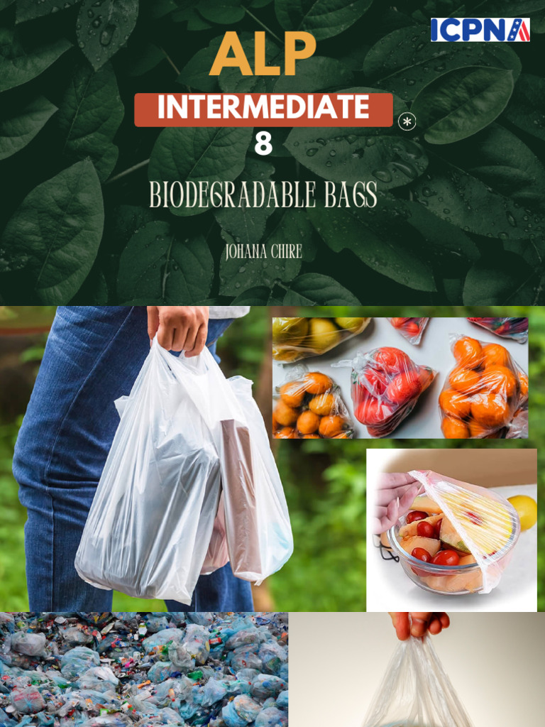 Alp I08 - Chire Ramos Johana | PDF