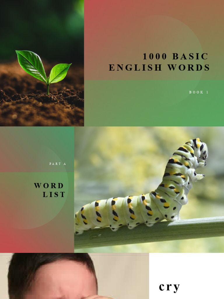 1000 Basic English Words Unit 1 | PDF | Verb | Adjective