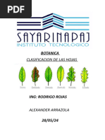 Tipos de Hojas en Botánica: Guía Completa | PDF | Hoja | Tallo de la planta