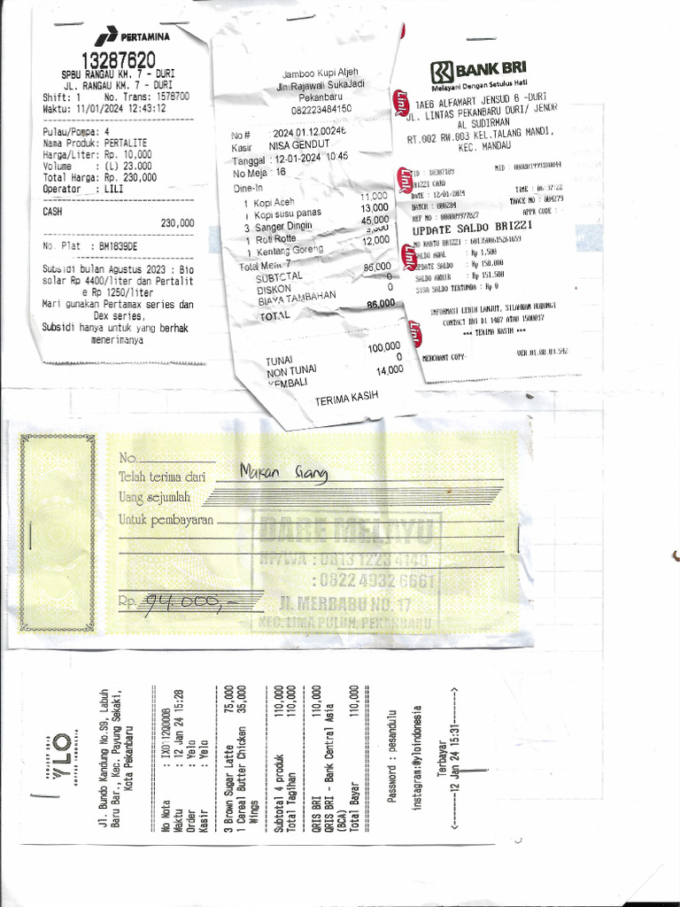 Receipt_2024-01-15_120324 | PDF