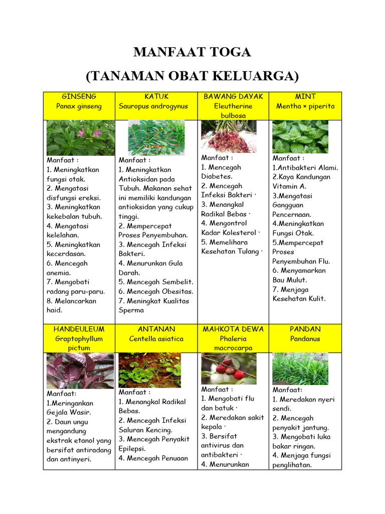 MANFAAT TOGA Fiks Beres | PDF