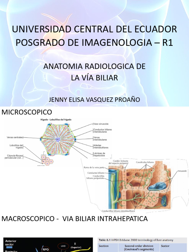 Anatomia Radiologica de via Biliar | PDF | Vesícula biliar ...