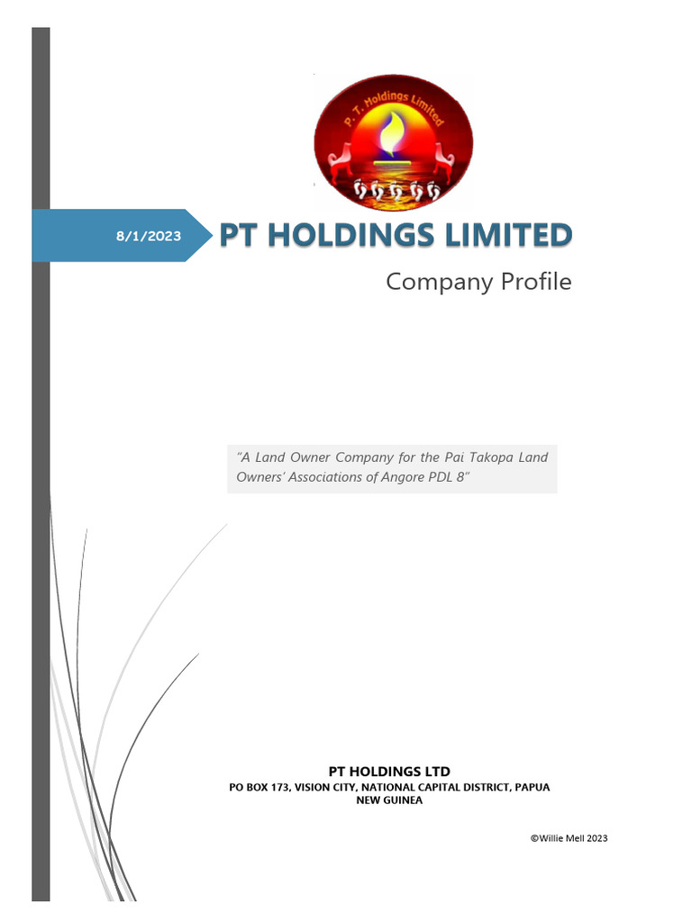 PT Holdings Ltd: Company Overview | PDF | Profit (Economics ...