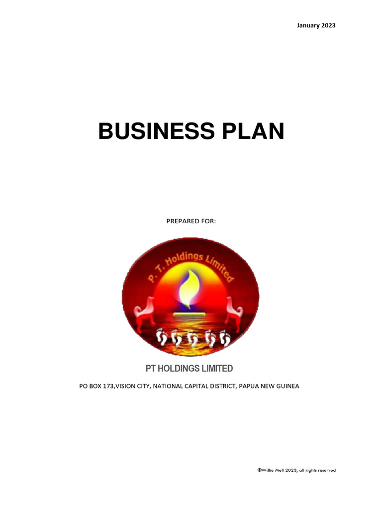 PT Holdings Limited Business Plan 2023 | PDF | Papua New Guinea | Marketing
