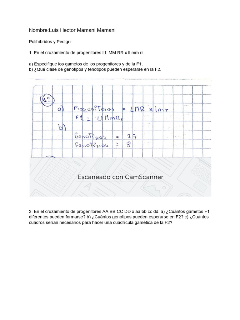 Genética: Cruzamientos y Proporciones Fenotípicas | PDF | Dominancia ...