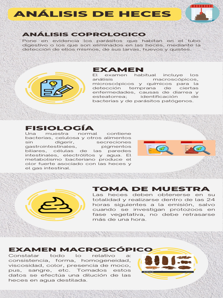 Infografía de Heces | PDF | Heces | Las bacterias