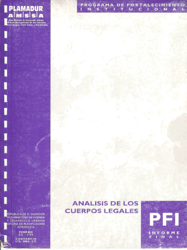 PLAMADUR AMSSA - Analisis de Los Cuerpos Legales-PFI | PDF