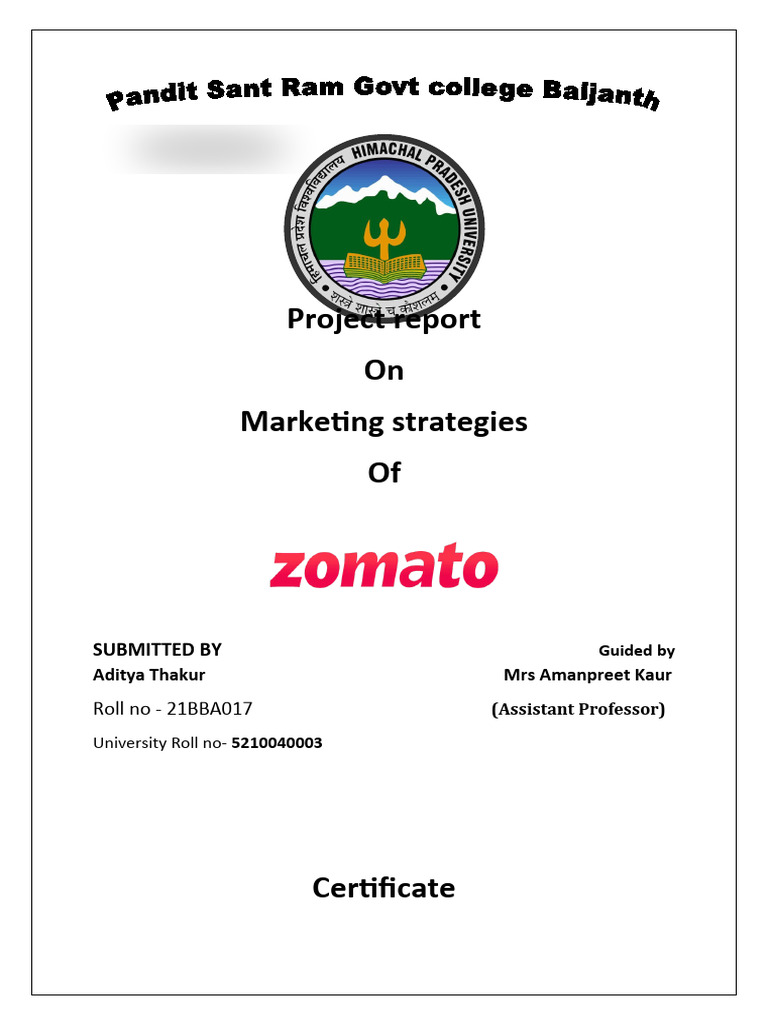 Project Report On Zomato PDF Search Engine Optimization Advertising
