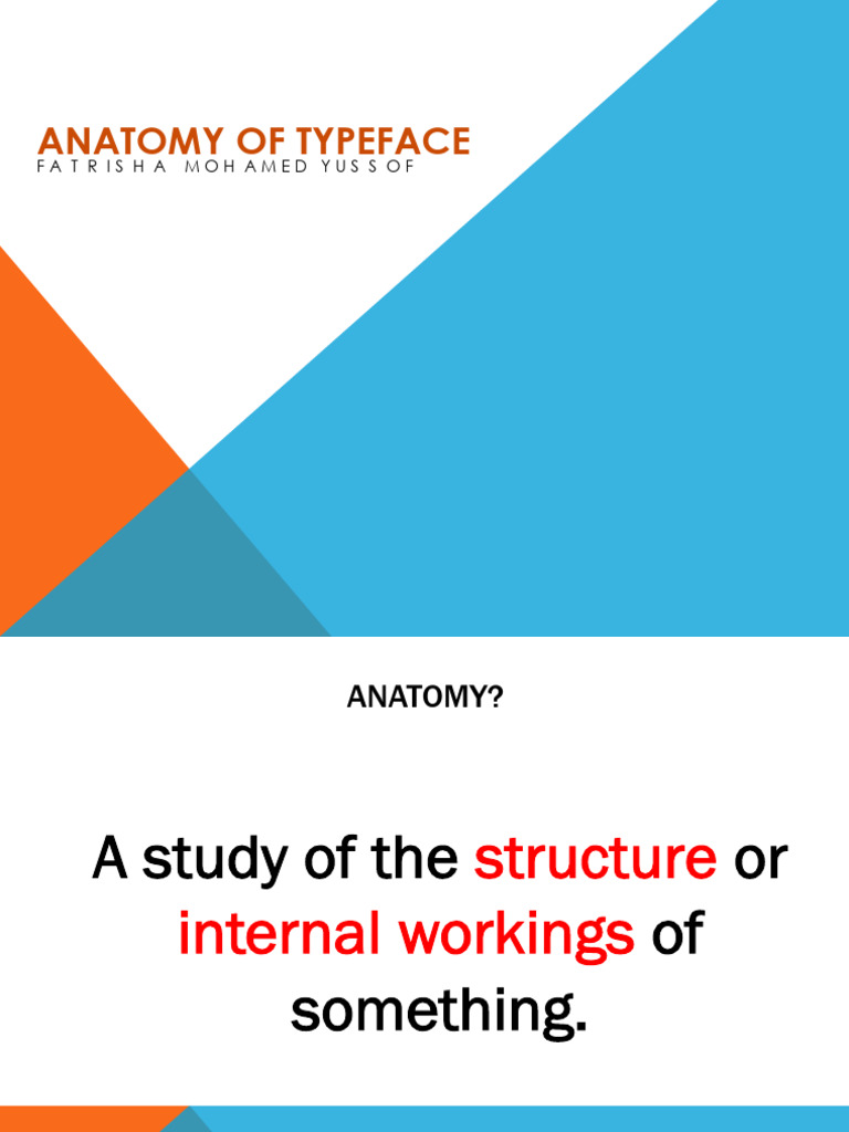 GDC450 Anatomy | PDF | Typefaces | Typography