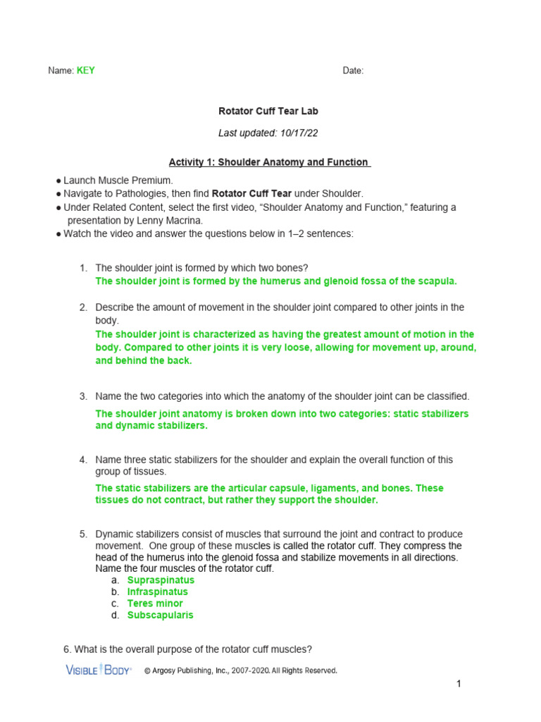 Rotator Cuff Muscle Premium Answer Key | PDF | Shoulder | Anatomy