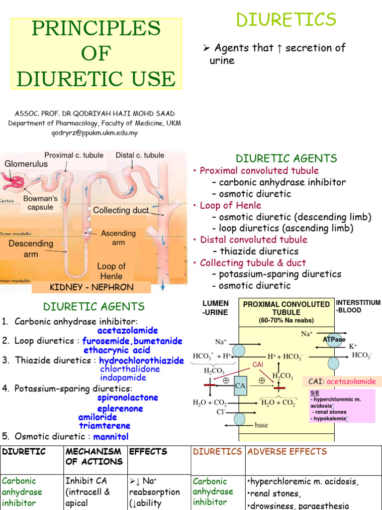 CL11 Principle of Diuretic Use | PDF | Kidney