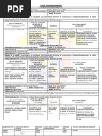 Planificacion DUA ERCA Tabla Modelo | PDF