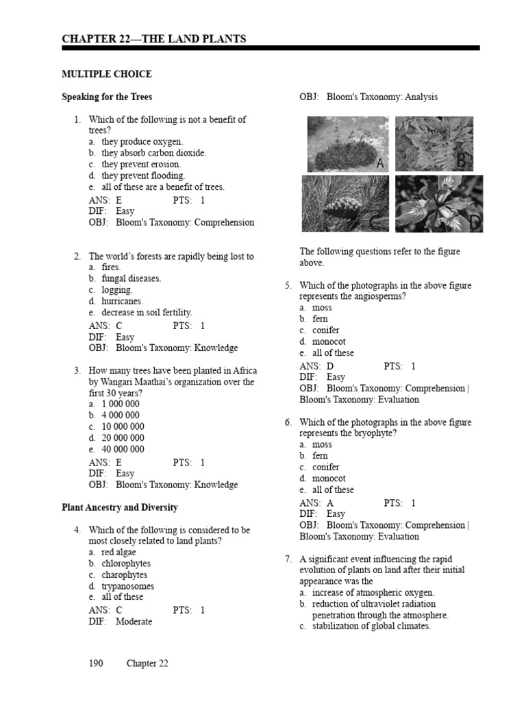 UDL - 13e - TB - Chapter 22 | PDF | Flowers | Spore