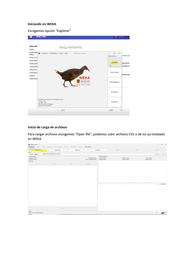 Manual Weka | PDF | Red neuronal artificial | Validación Cruzada (Estadísticas)
