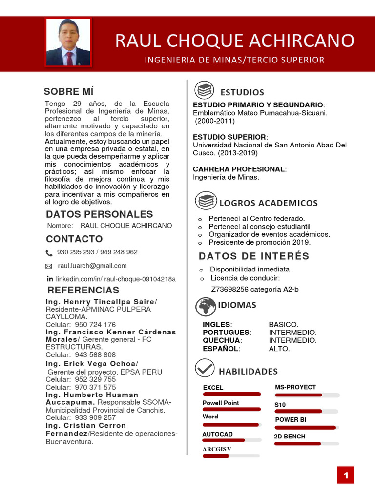 Cv-Raul Choque 2024 Documentado | PDF | Economias | Negocios económicos