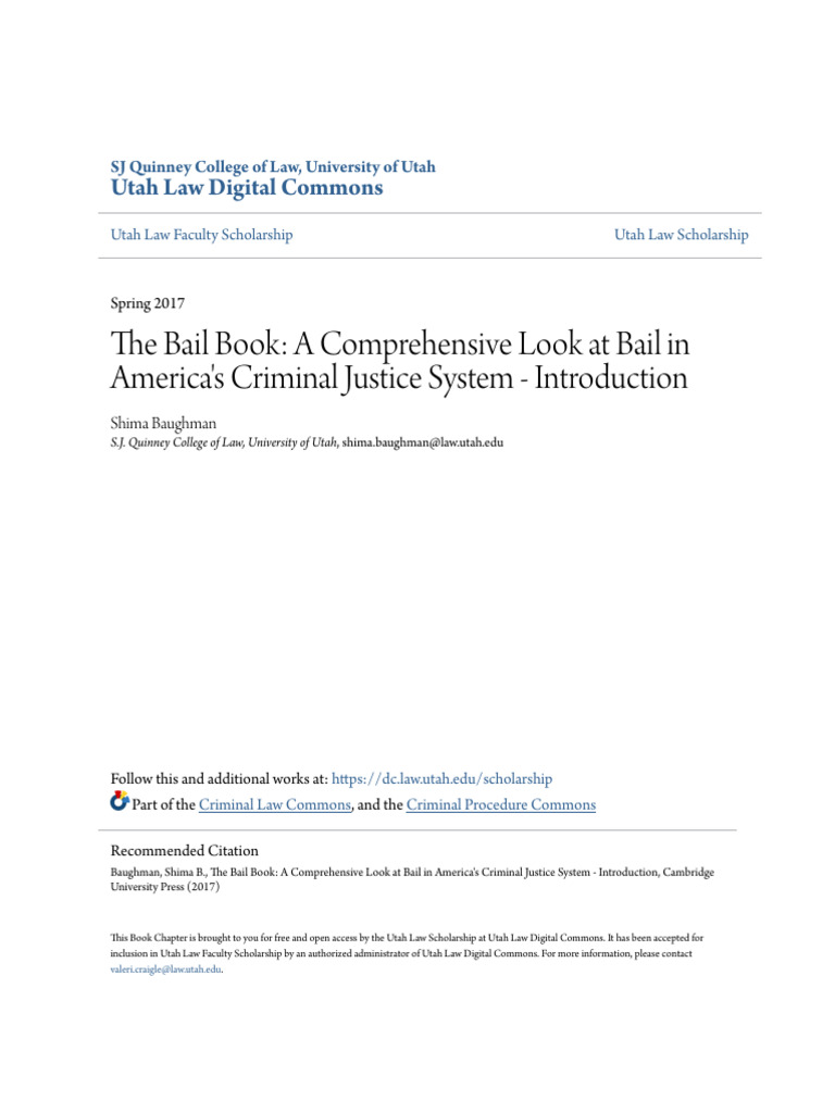 The Bail Book - A Comprehensive Look at Bail in Americas Criminal | PDF ...