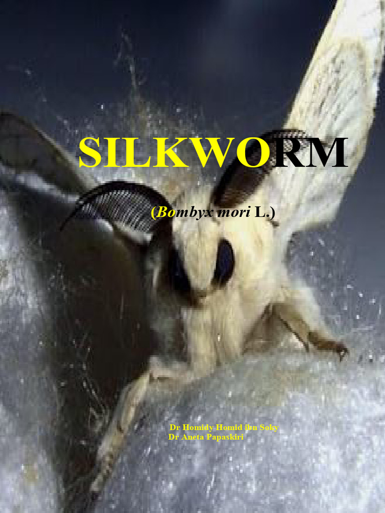 SILKWORM Book _2016_ 2 | PDF | Silk | Gastrointestinal Tract