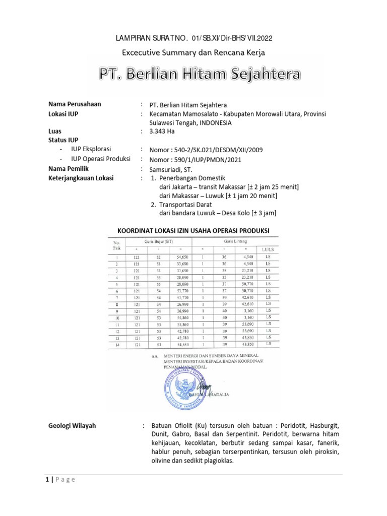 Summary Bisnis PT. BHS | PDF