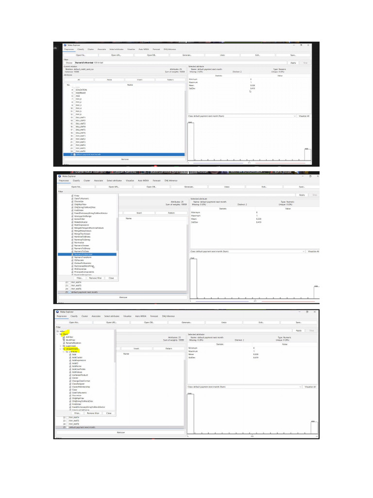 Pantallazos WEKA | PDF