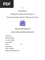 Environmental Pollution Project | PDF | Natural Environment | Sound
