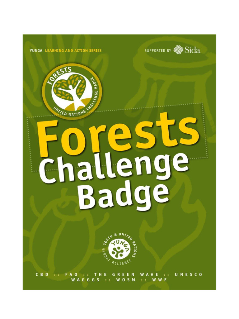 Yunga - Forest Challenge 2024 | PDF