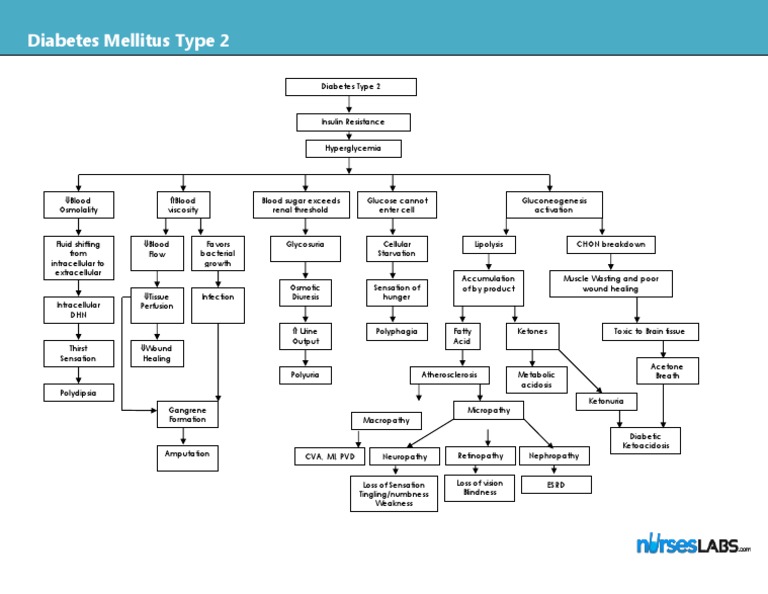 Diabetes Mellitus Type 2 Schematic Diagram Diabetes Mellitus Type 2 Schematic Diagram