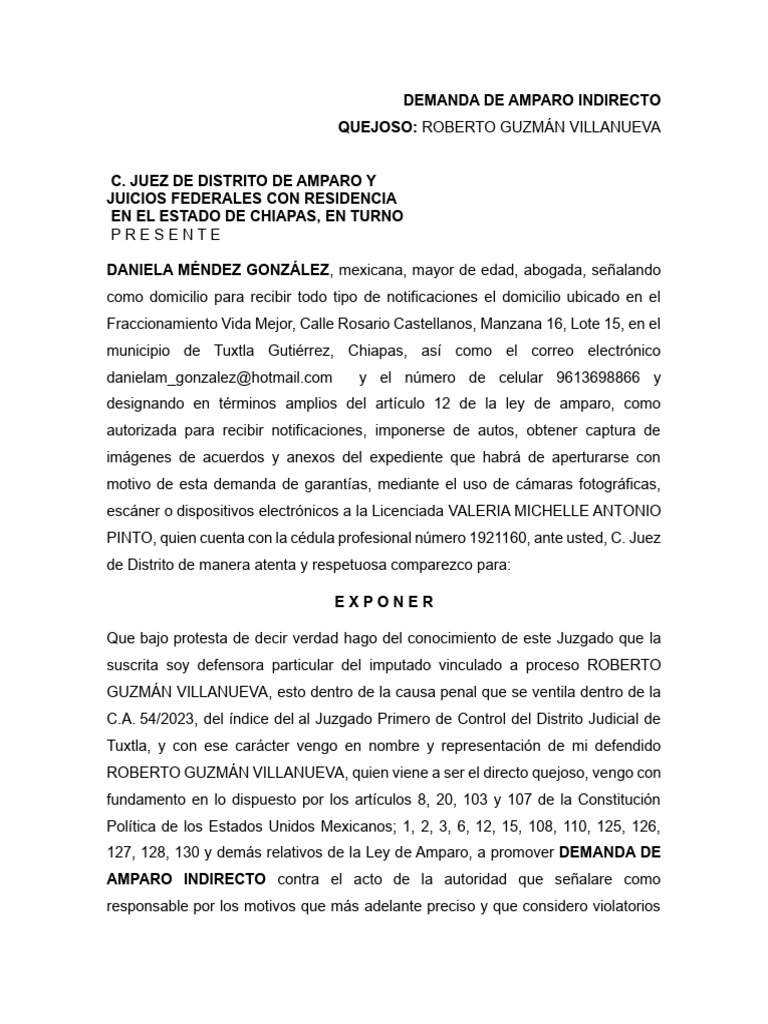 Act. 2, Taller Amparo, 1 Parcial, Octavo Semestre, Daniela Méndez González | PDF | Evidencia ...