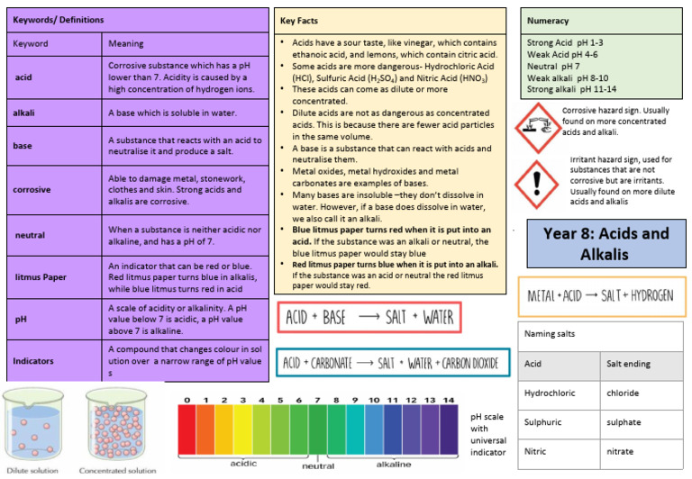 Year 8 Chem Acids and Alkalis KO | PDF | Acid | Ph