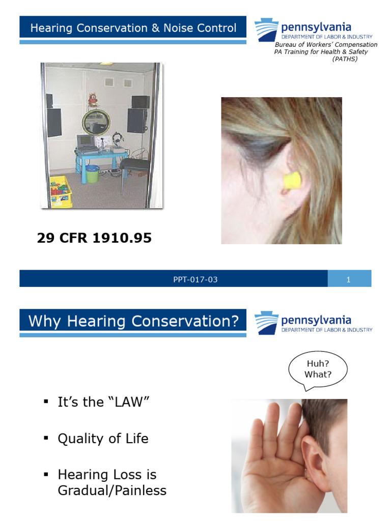 Hearing Conservation and Noise Control | PDF | Noise | Decibel