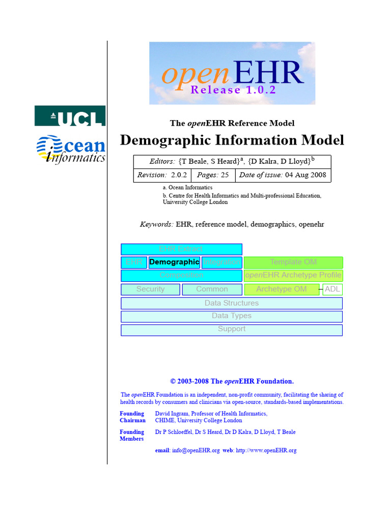 Demographic Im | PDF | Computing | Information Technology