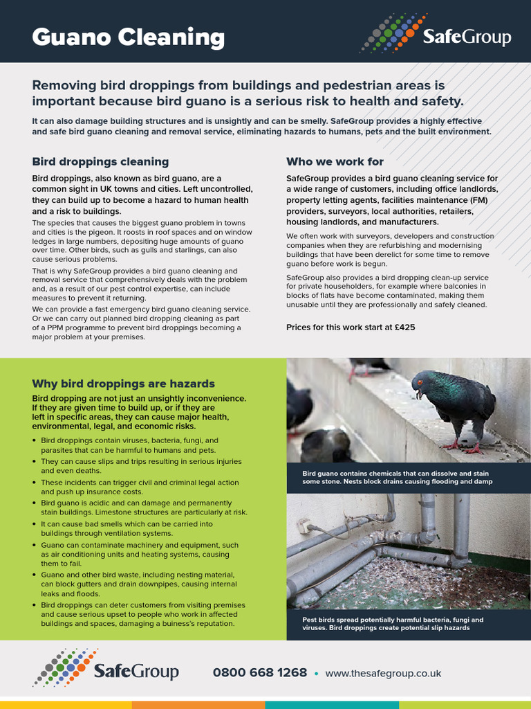 Guano Cleaning Service Sheet | PDF | Hazards | Pest (Organism)