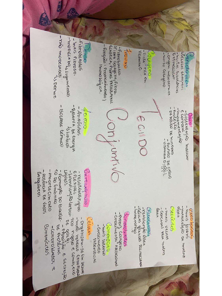 Mapa Mental - Tecido Conjuntivo Bruno Morais Barbosa RMG 30172047 | PDF