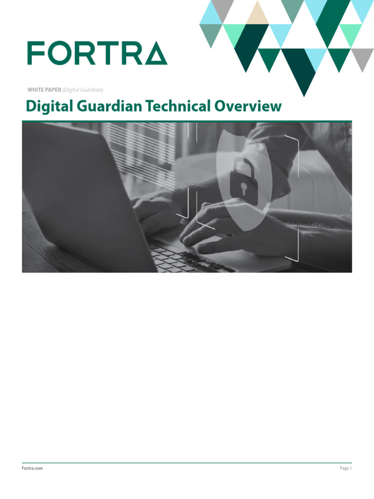 DG Platform Technical Overview WP | PDF | Cloud Computing | Security