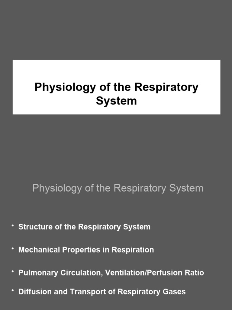 Respiratory System Physiology | PDF | Respiratory Tract | Respiratory ...