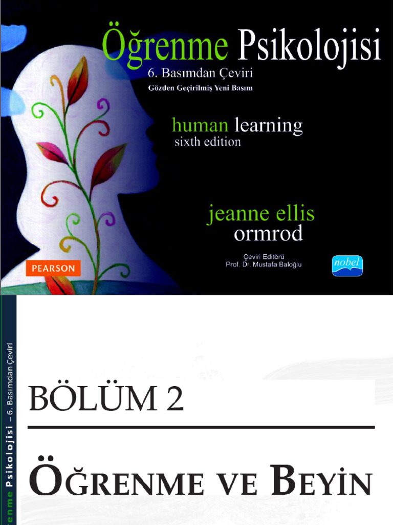 Öğrenme Ve Beyin | PDF