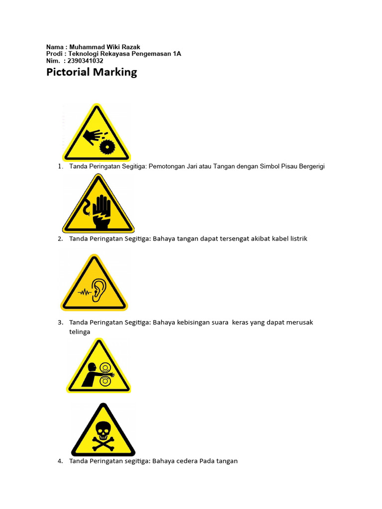 Pictorial Marking | PDF