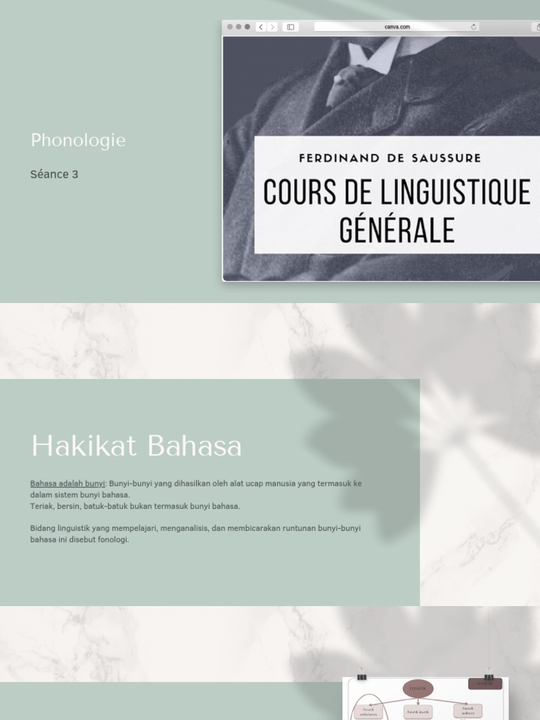 Linguistique Séance 3 | PDF