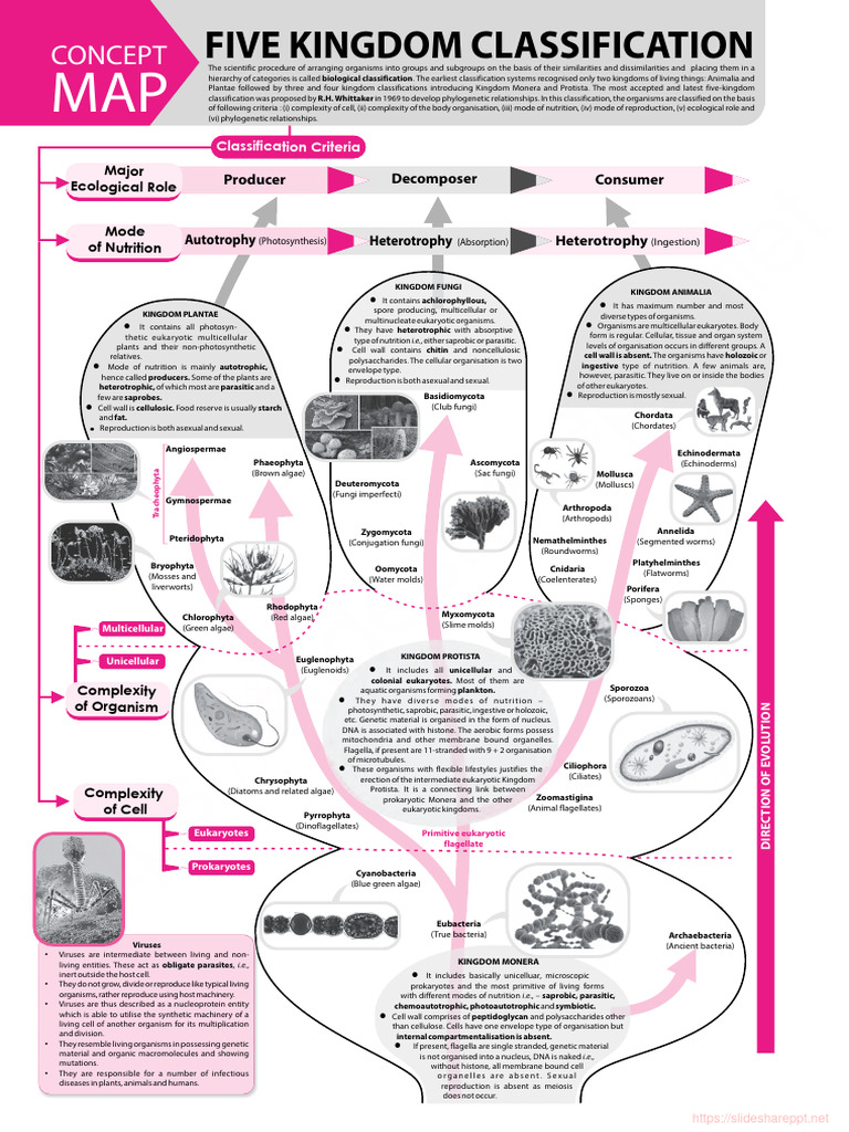 Biology Password - Removed | PDF | Fungus | Eukaryotes