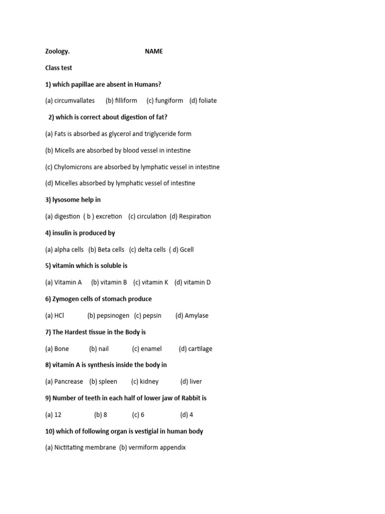 Digestive System Class Test | PDF | Pancreas | Digestion
