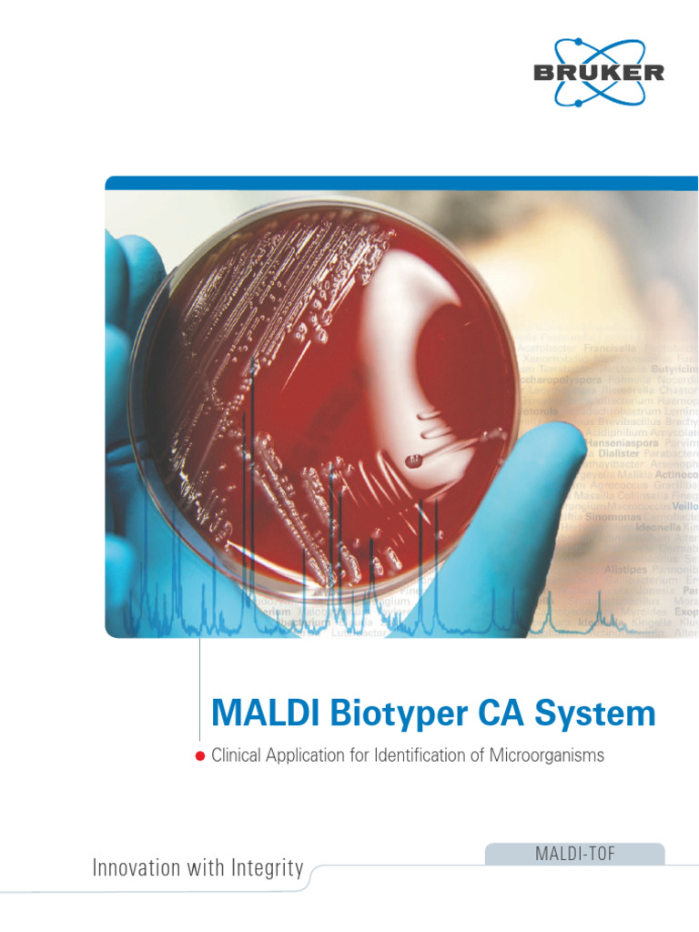 Bruker MALDI Biotyper Brochure | PDF | Scientific Techniques | Biology