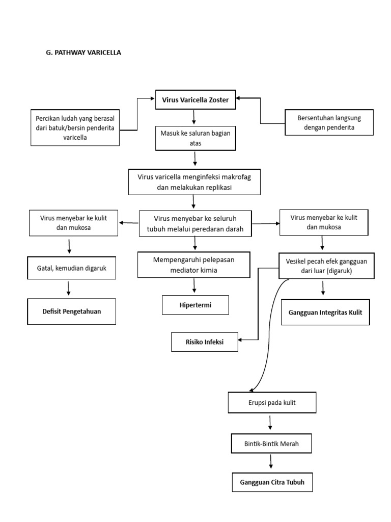 Pathway Varicella | PDF