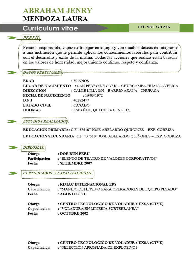 Cv Abraham Mendoza | PDF