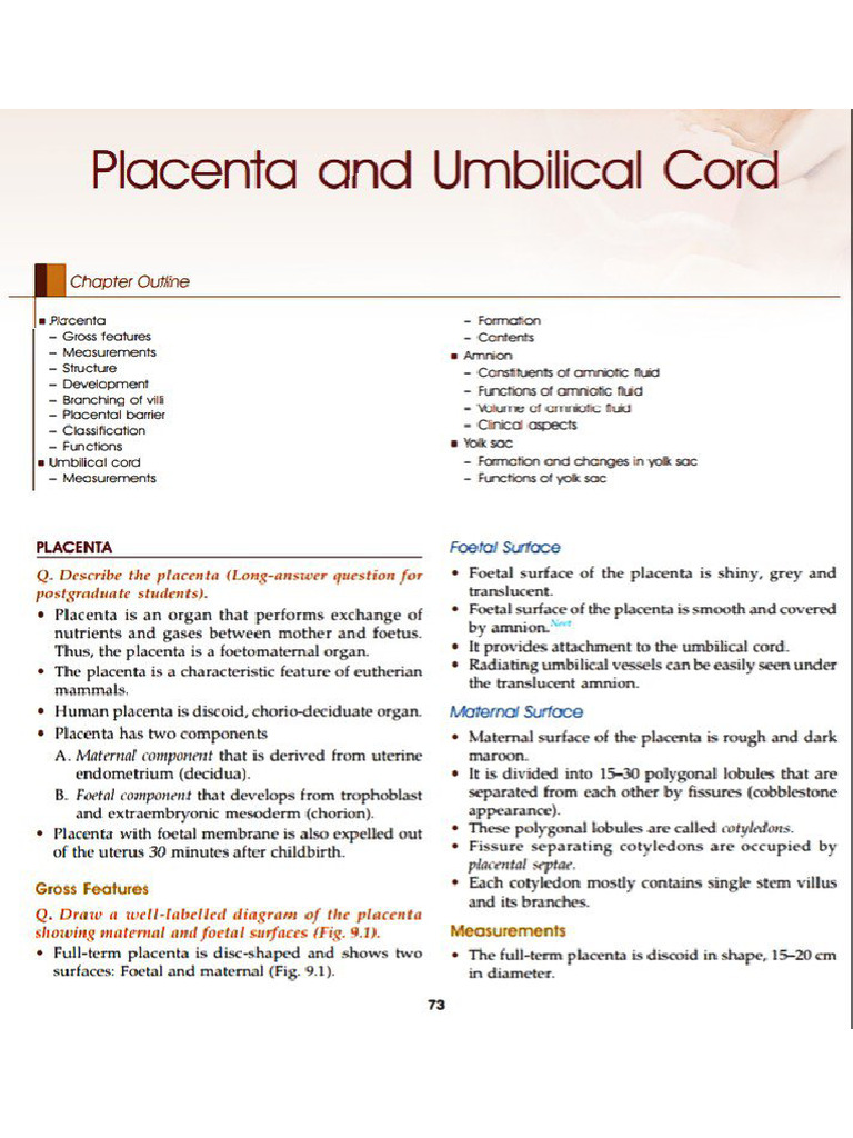 placenta | PDF