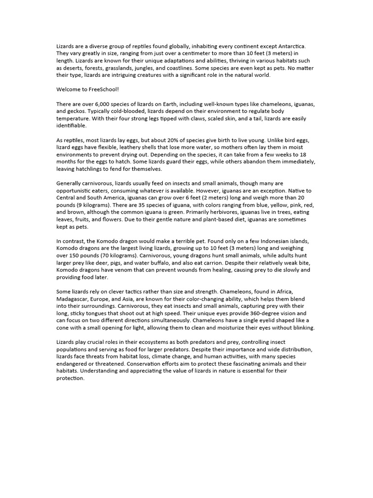Lizards | PDF | Lizard | Komodo Dragon